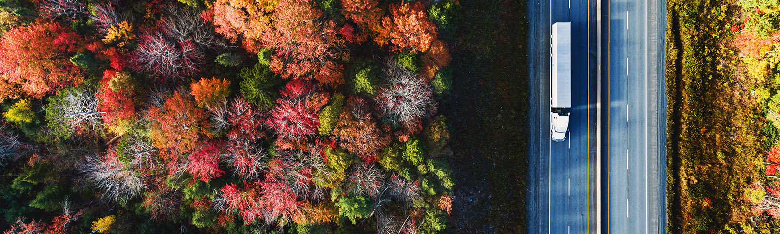 More efficient transport management with the right TA system | www ...